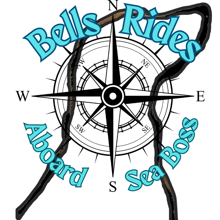 BellsRides - MICHELLE WISHART AUTHOR